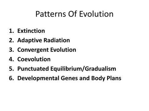 Ppt Patterns Of Evolution Powerpoint Presentation Free Download Id