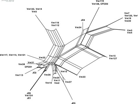Splits Tree Decomposition Analysis Of Scar Marker Go3 Based On 449 Bp