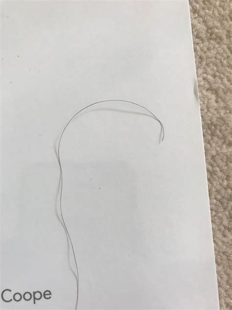 Hairyolov7segmentation Instance Segmentation Dataset By Manish Kumar