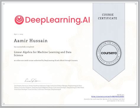 aamir hussain on linkedin ai python