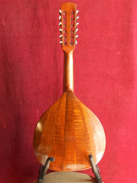 Mandriola Or 12 String Mandolin