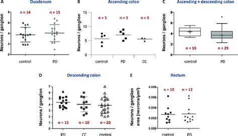 Comparisons Of Mean Intestinal Enteric Neuron Quantities Between Pd And Download Scientific