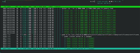 Puma Rails TLS Brings In Memory Leak Issue Puma Puma GitHub