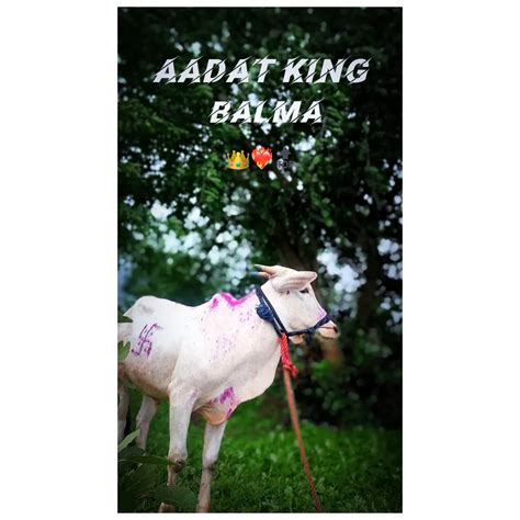 𝐀𝐓𝐇𝐀𝐑𝐕𝐀 🕊️🧿 atharv patil 29 instagram photos and videos