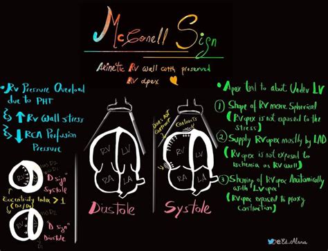 5 Steps To Identify Diastolic Dysfunction In Echo Artofit