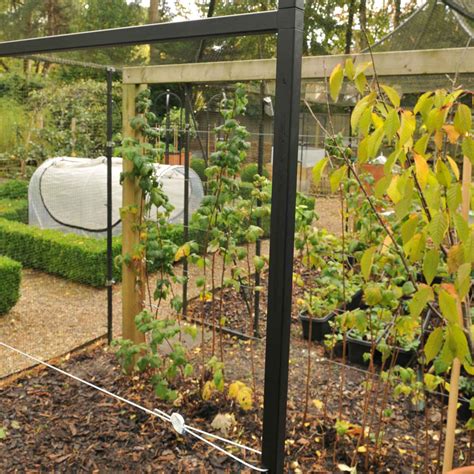 Raspberry Support System