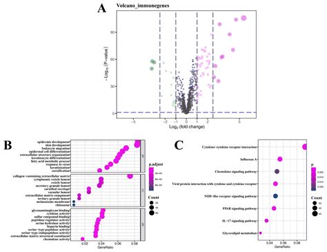 Integrated Analysis Of Immune Related Long Noncoding Rnas As Diagnostic