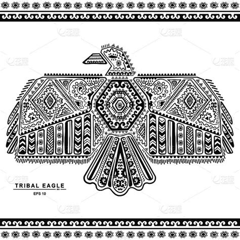 美洲本土鹰图素材 花瓣网