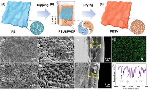 Figure 1 From A Polysul ﬁ De Functionalized Separator Enables Robust