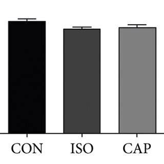 Echo Data From The Groups A Typical Echo Screenshots Of Three Download Scientific Diagram
