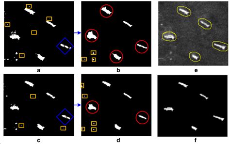 The Detection Results Based On The Three Detection Algorithms For