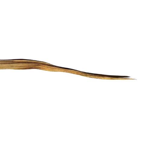 Rice Leaf Object Detection Object Detection Dataset By Daun Padi