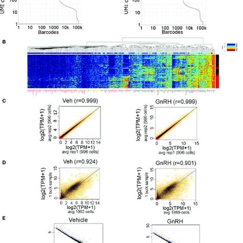 Rna Seq Data Analysis A Heat Map Of Rna Seq Expression Data Download Scientific Diagram