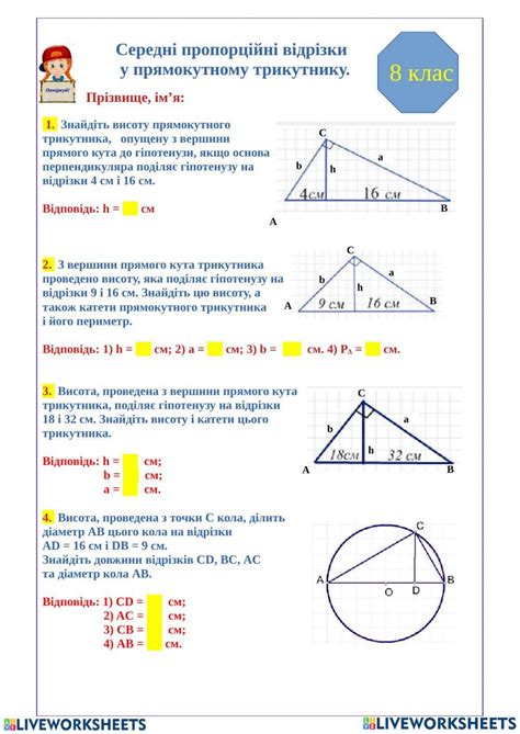 Метричні співвідношення в прямокутному трикутнику 4815102