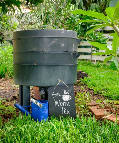 Worm Composting A Practical Guide On How To Do It And Why It S Good For Your Garden Gardeningetc