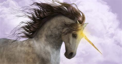 Unicorn Sex Toys Now Exist Because Nothing Is Sacred Huffpost Uk Life