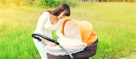 자연에 유모차 야외에서 아기와 함께 걷는 행복한 미소 어머니 1개월에 대한 스톡 사진 및 기타 이미지 1개월 25 29세 가족 Istock