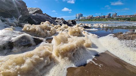 15 Fotos De La Densa Espuma Marina Que Cubrió Las Playas De Mar Del