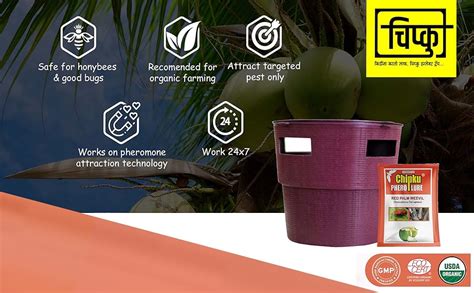 Chipku Buket Trap With Red Palm Weevil Pack Of 1 Home Improvement