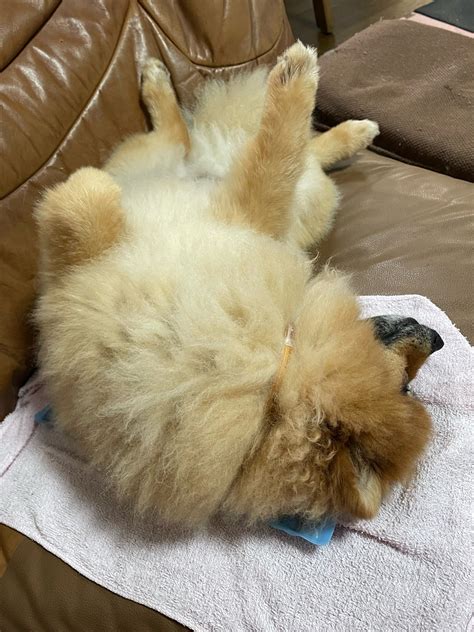 今日も暑い Rorieのブログ おひさまの におい 今日も暑い Rorieのブログ おひさまの におい