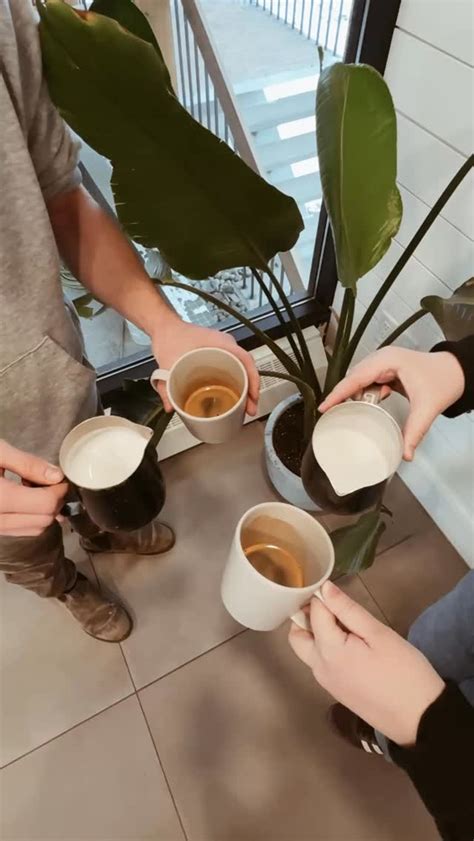 The Wall Coffee Roasters Edmonton Ab