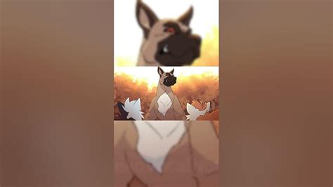 I Quite Like This Swiftpaw Edit Tw Not My Clips Vid Creds