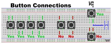 Tact And Buttons We Saw A Chicken