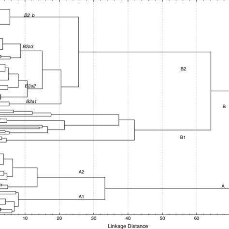 The Hca Dendrograms By Wards Method Using Euclidean Distances Of The