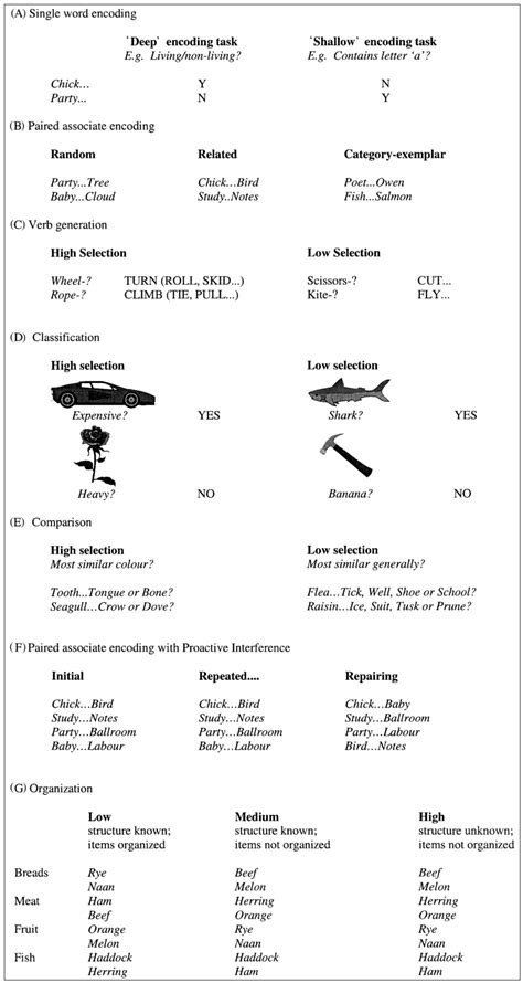 Schematic Representation Of Episodic Memory Encoding Tasks The Stimuli