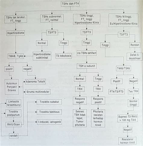 Pathway Kolelitiasis Makalah Anatomi Fisiologi Manusia Pada Kandung