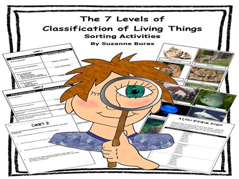 The 7 Levels Of Classification Sorting Activity Teaching Resources