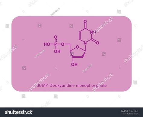 Dump Deoxyuridine Monophosphate Nucleotide Molecular Structure Stock