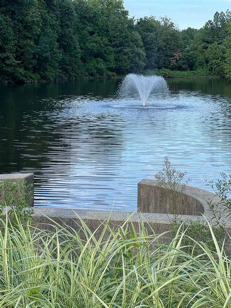 Maryesa Jackson On Linkedin Cyber Gratefulmindset 100daysofcybersecurity Girlwhodontcode