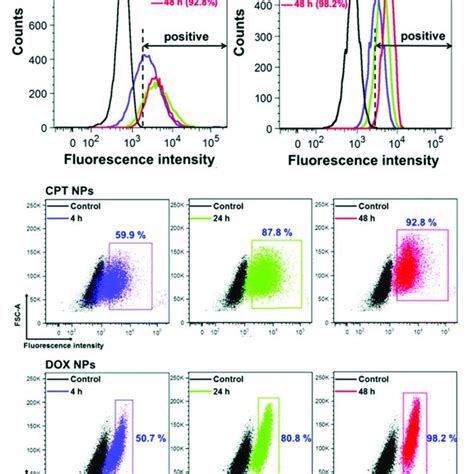 Flow Cytometry Analysis Of Cellular Uptake Of Encapsulated Anticancer Download Scientific