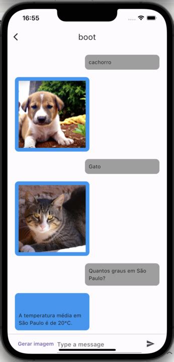 Chatoopenai Project Flutter Dart Mobile Carlos Silva