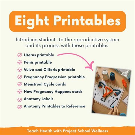 Reproductive System Play Dough Activity Mats Health Lesson Plans For