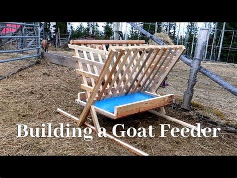 Diy Goat Hay Feeder Btlery