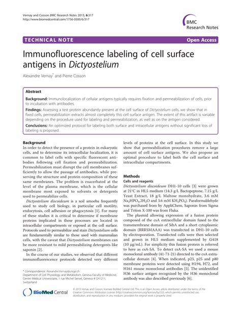 Pdf Immunofluorescence Labeling Of Cell Surface Antigens In Dictyostelium