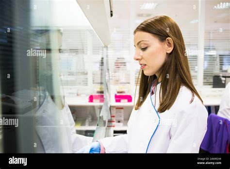 Analytical Competence Hi Res Stock Photography And Images Alamy