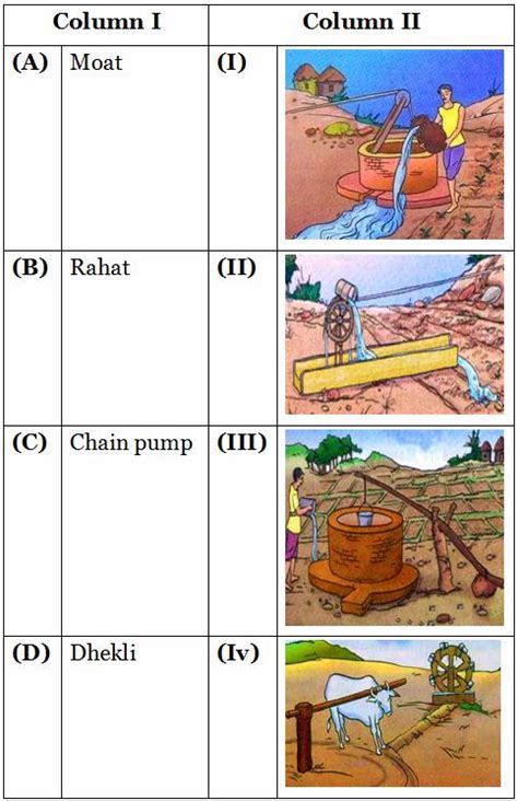 Crop Production And Management Science Th Worksheet