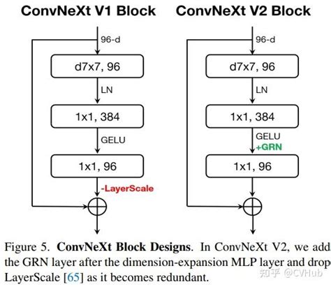 Convnext V2：当 Mae 遇见 Convnext 会碰撞出怎样的火花？ 知乎