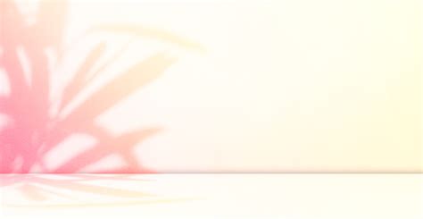 여름 배경 옐로우 핑크 오렌지 그라디언트 스튜디오 룸 파스텔 테이블 제품 화장품 아름다움 열대 배경 공간 최소 3d 템플릿 주방 로프트 흐림 시멘트 대리석 모형에 그림자 잎