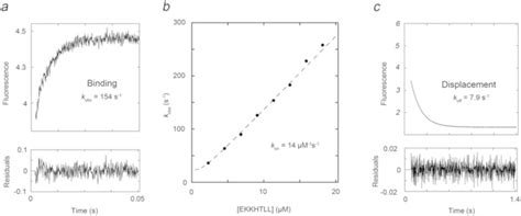 Determination Of The Two Rate Constants Kon And Koff For PdzØ9 Binding Download Scientific