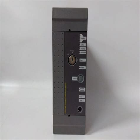 T B ICS Triplex Trusted TMR Processor Changxin