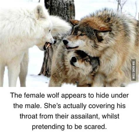 Anonymous Key On Tumblr