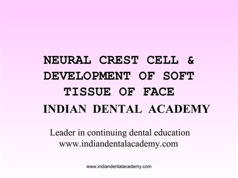 Neural Crest Cell Ppt