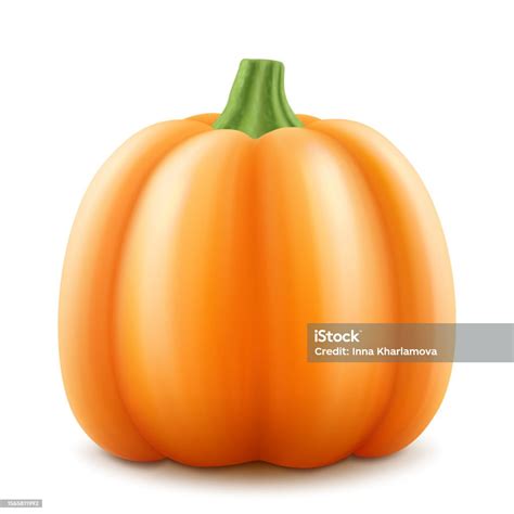 녹색 줄기가 있는 호박은 흰색 배경에 분리되어 있다 추수감사절 할로윈 축하 레이아웃 디자인을 위한 장식 예술 요소 밝은 오렌지 과일입니다 가을 추수 축제 야채 박람회