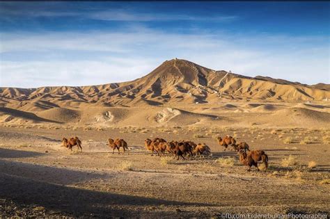 Баяраагийн Данзанравжаан сургаалаас Өглөө болгон эртхэн босч өндөр тэнгэрийг бүрэн харж бай