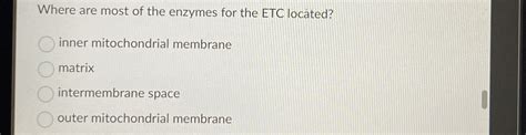 Solved Where Are Most Of The Enzymes For The Etc