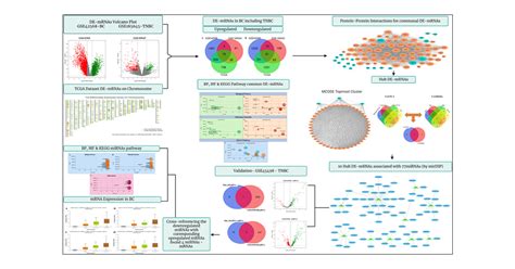 Deciphering The Mirnamrna Interaction Landscape Between Breast Cancer And Triple Negative